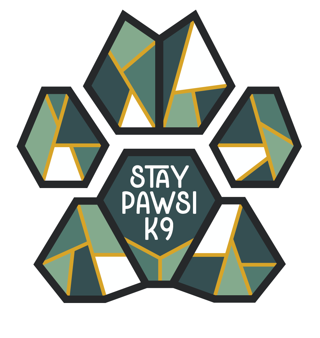 Stay Pawsi K9 – Proofing The Human-Canine Connection